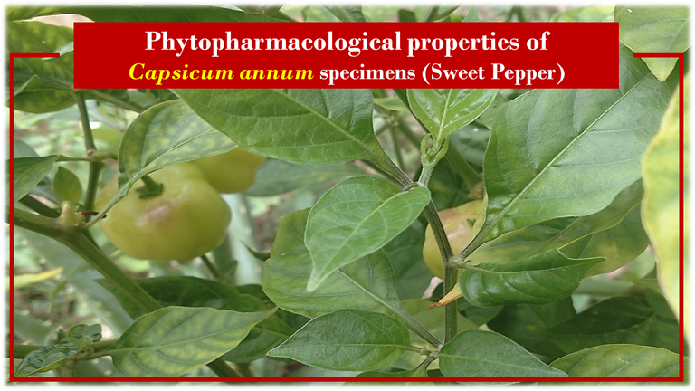 Phytopharmacological properties of Capsicum annum specimens (Sweet ...