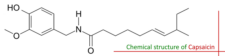 Phytopharmacological properties of Capsicum annum specimens (Sweet ...