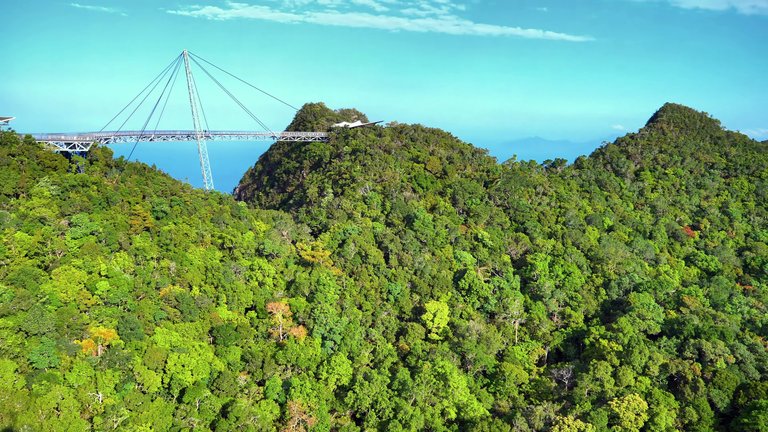 Langkawi Island - perpetually surprised Langury, Sky bridge, Kilim Park ...