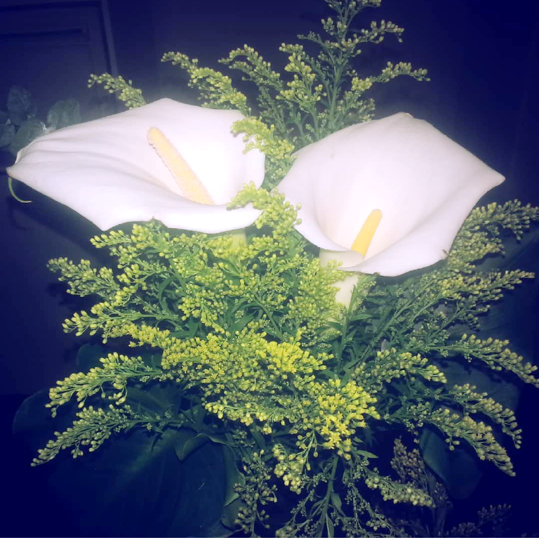 Flor de Cala — Hive